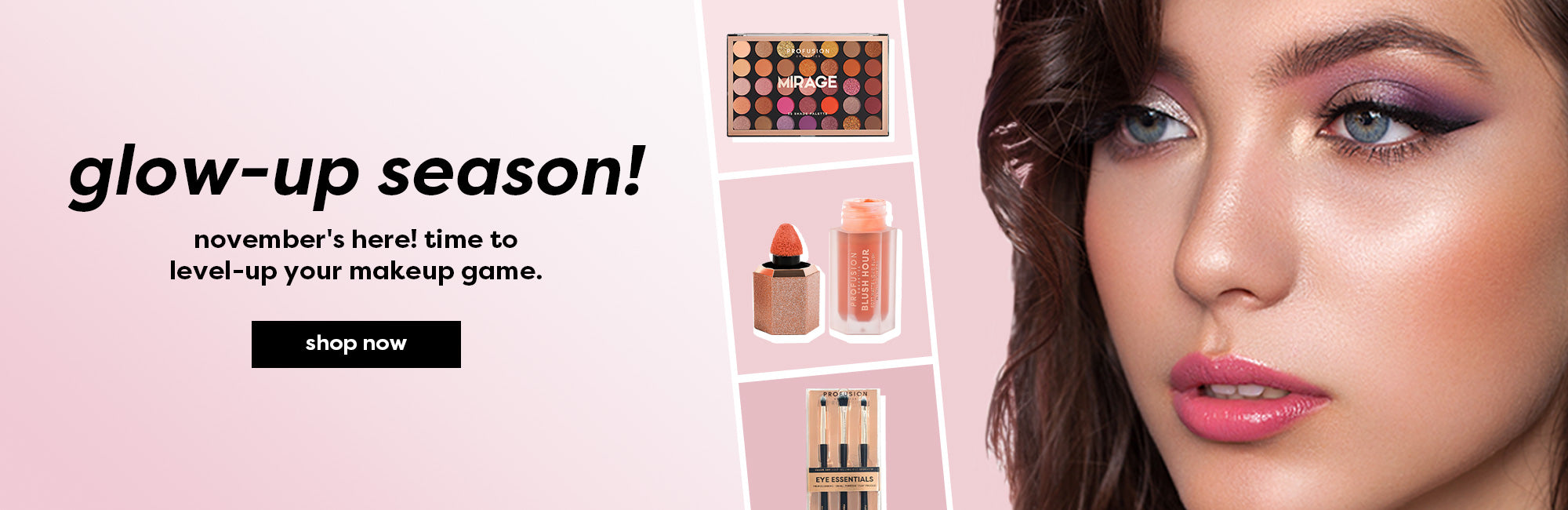 Makeup Collection | Makeup Palettes | Profusion Cosmetics