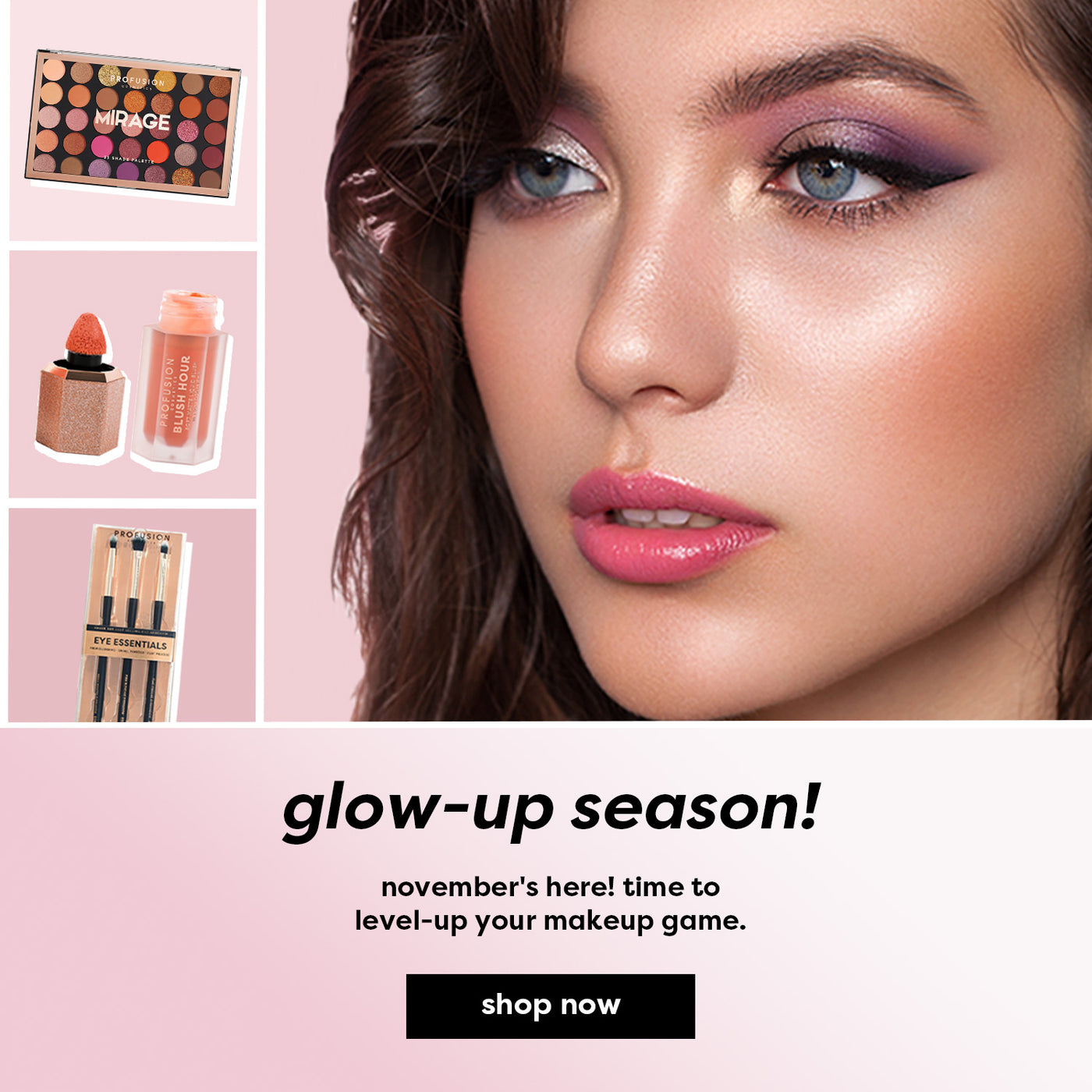 Makeup Collection | Makeup Palettes | Profusion Cosmetics