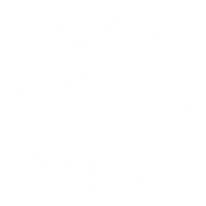 Nudes 10 shade palette - Profusion Cosmetics